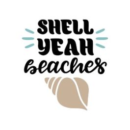shell yeah beaches|358173