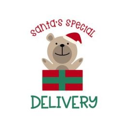 santa special delivery