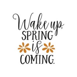 wake up, spring is coming.