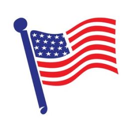 flag of usa