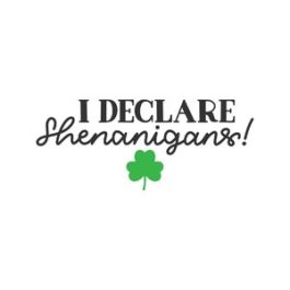 i declare shenanigans|374366