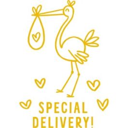 special delivery stork