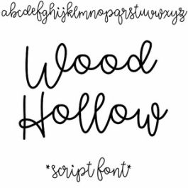 wood hollow script font