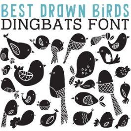 cg 3d hand drawn boxes dingbats