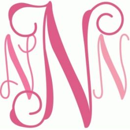 monogram script 'n'