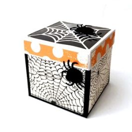 Spiderweb Box