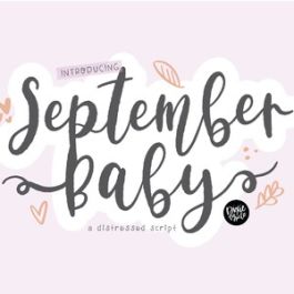 DTC September Baby Brush Script Font|382670