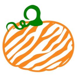Zebra Pumpkin