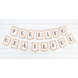 Feeling Grateful Banner