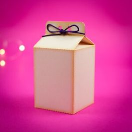 Basic milk box