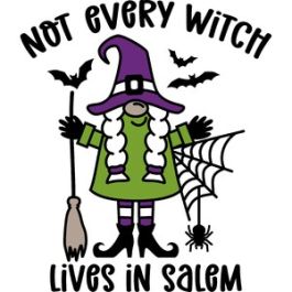not every witch lives in salem