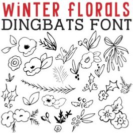 CG Winter Florals Dingbats