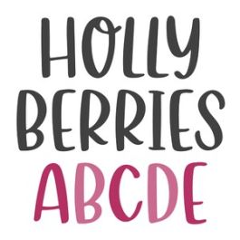 BFC Inkly Beautiful Brush Script Cursive Font