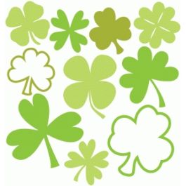 lots of shamrocks & clovers