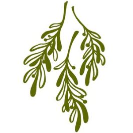 mistletoe sprigs