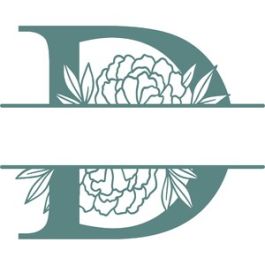 D split monogram frame