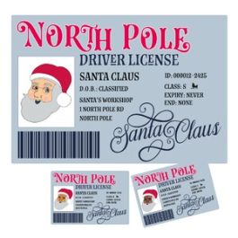 Santa Sleigh License