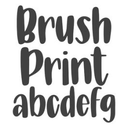BFC Raspberry Lemonade Brush Font