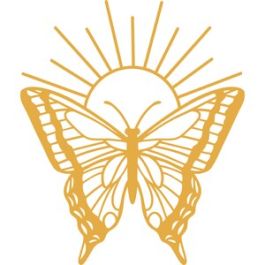 butterfly sun