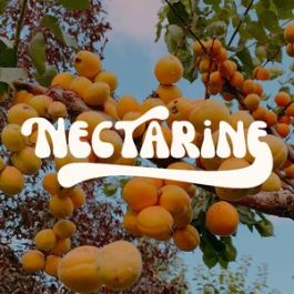 Nectarine Font