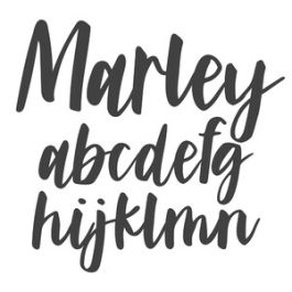BFC Marley Brush Script Font