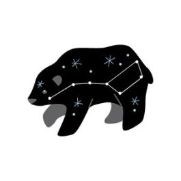 Big Bear Constellation