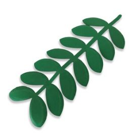 Zamiocuca Leaf|400612