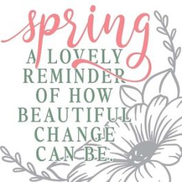 Spring A Lovely Reminder How Beautiful Change Can Be