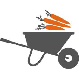 Wheelbarrow Carrots