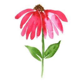 Pink and Red Whimsical Flowers Print and Cut