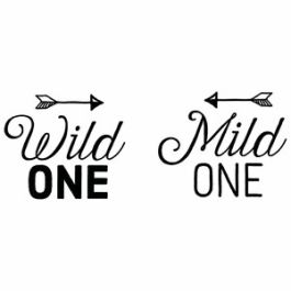 Wild One & Mild One Arrow Quotes