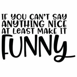 If You Can't Say Anything Nice At Least Make It Funny