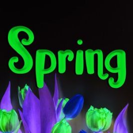 Spring DM