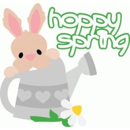 hoppy spring bunny