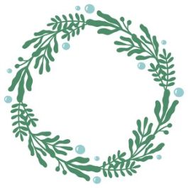 Seaweed Beach Circle Frame