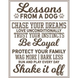 Lessons from a dog