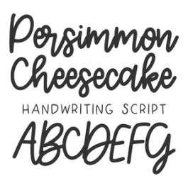 BFC Persimmon Cheesecake Marker Script Font