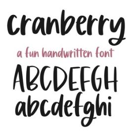 Cranberry Font