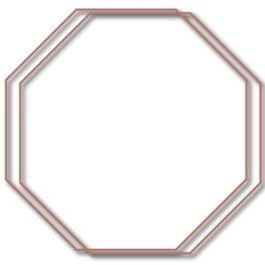 octagon wire frame 2
