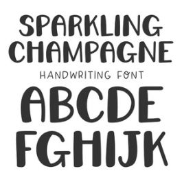 BFC Skylight Bold Brush Script Cursive Font