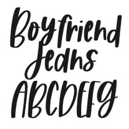 BFC Skylight Bold Brush Script Cursive Font