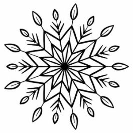 Snowflake