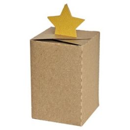 Fold Over Box with Star