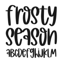 BFC Skylight Bold Brush Script Cursive Font
