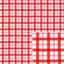 Red & Pink Plaid