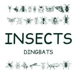 MS Insects Dingbat Font