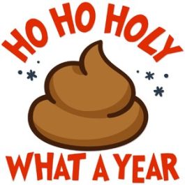 Ho Ho Holy Poop what a Year