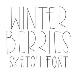 BFC Bloomshine Script Sketch Elegant Cursive Handwriting Sketch Font