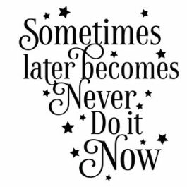 Sometimes Later Becomes Never Do It Now Quote|430374