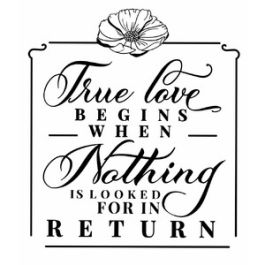 True Love Begins when Nothing is looked for in return